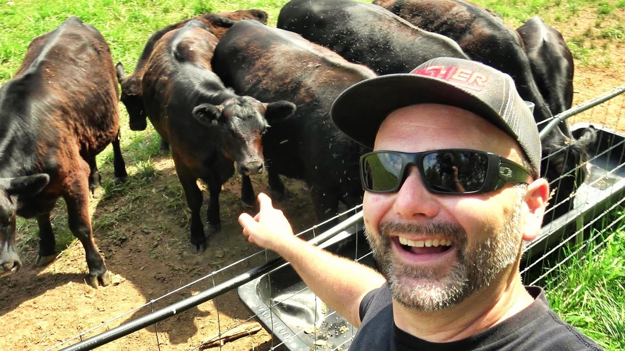 A day in the life of a YouTube Farmer - YouTube
