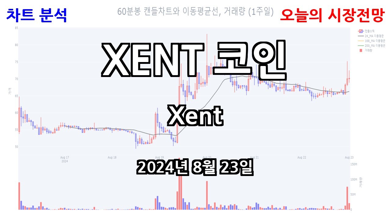 XENT 코인(Xent) 분석 및 전망 - 2024년 8월 23일 - YouTube