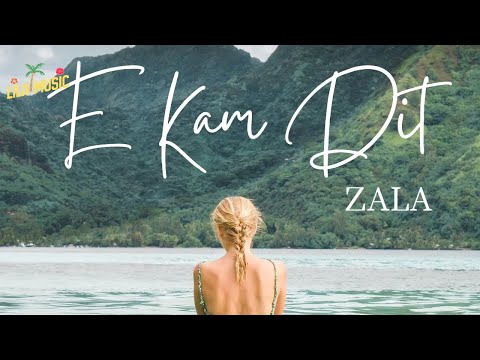 ZALA - E KAM DIT | HITET E REJA 2026 (Official Lyric Video)