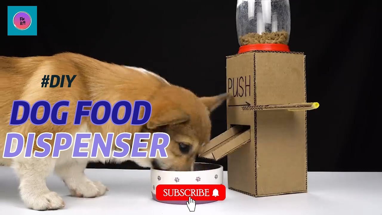 How to make Dog Food Dispenser - YouTube