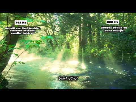 FİNANSAL BOLLUK MEDİTASYONU / SONSUZ PARA ENERJİSİ / BEREKET BLOKAJLARINI TEMİZLE #741HZ #888HZ #
