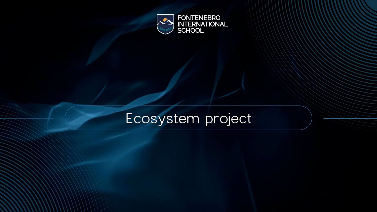 Youtube Ecosystem Project Youtube 4252