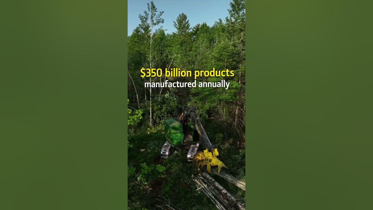 Timber Trends – US Logging by the Numbers | John Deere Forestry - YouTube