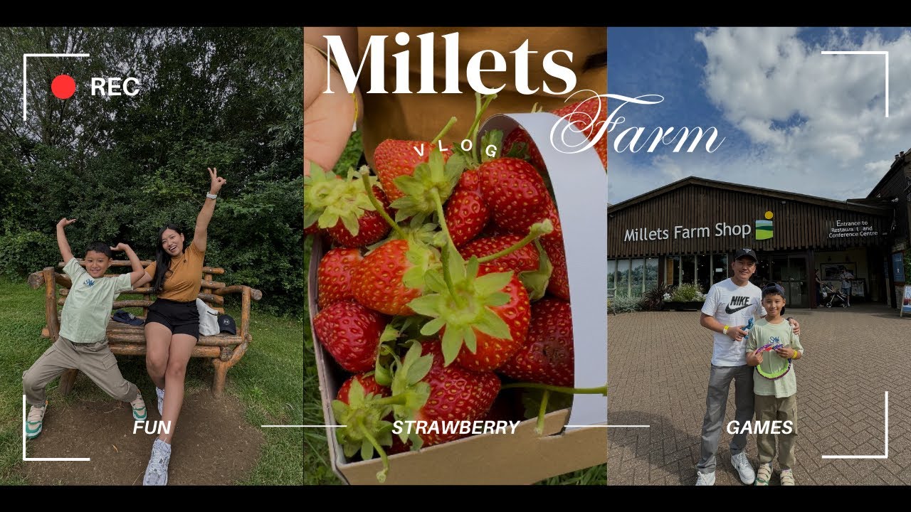Millets Farm Centre || Strawberry 🍓 Picking || Oxfordshire, UK 🇬🇧 ...