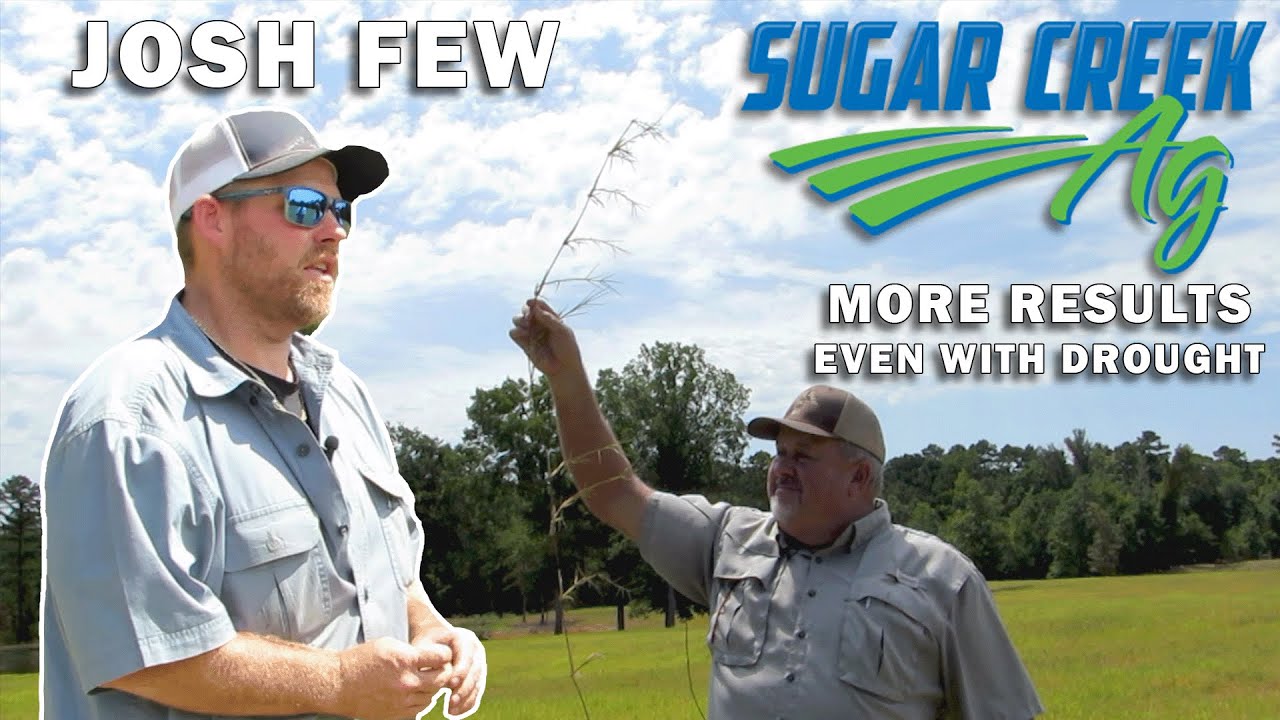 Henderson, Texas [Part 2] - Josh Few - YouTube