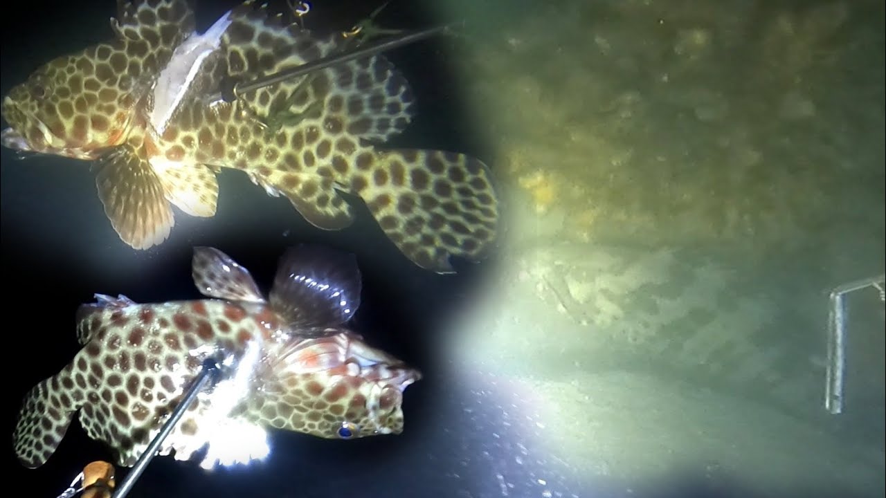 Ep. 15 | Pugapo or Sigapo | Ang Lalapad ng mga danggit ngayon | Night ...