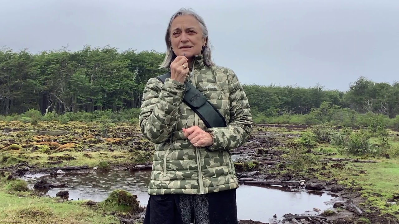 100 women in Antarctica climate story Professor Emeritus Frances ...