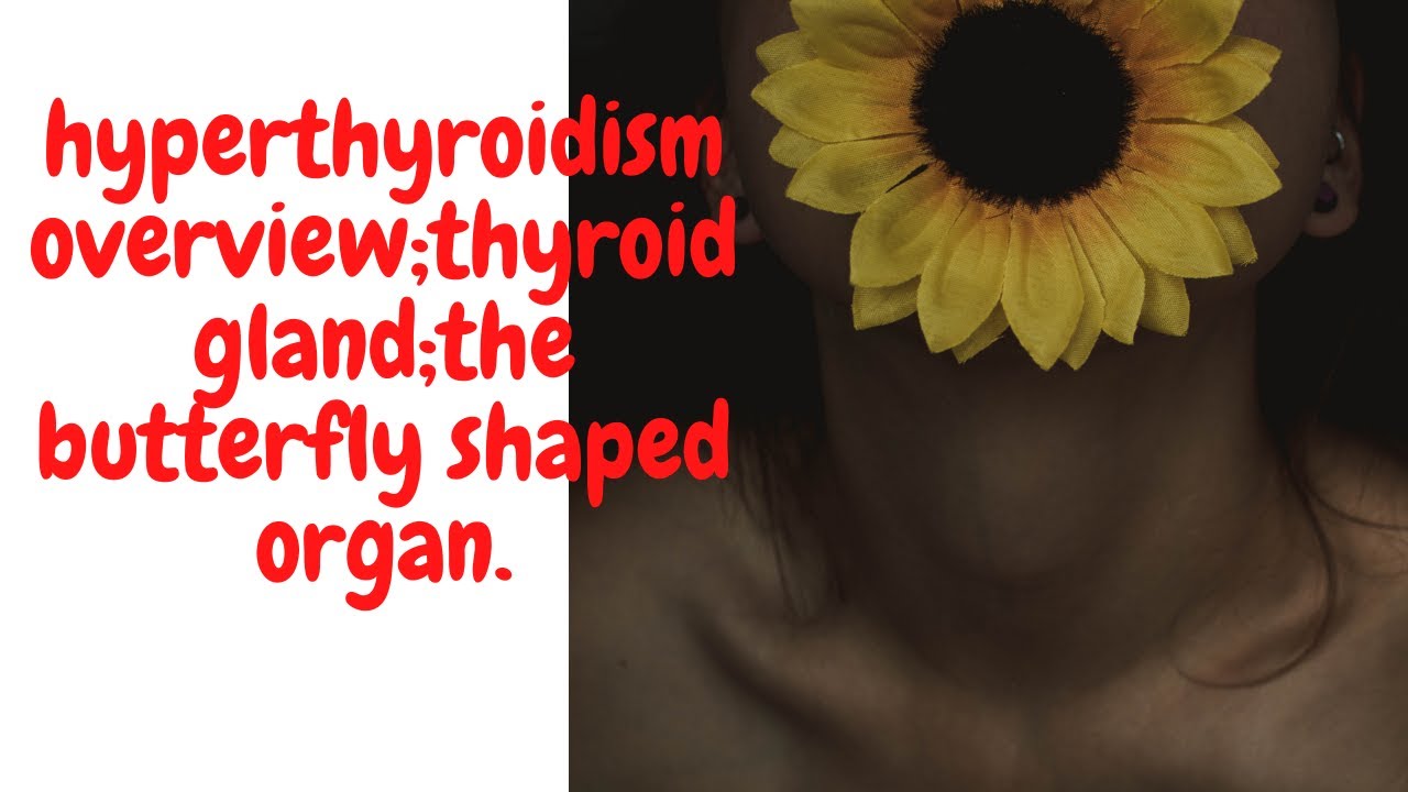 HYPERTHYROIDISM OVERVIEW; thyroid gland; the butterfly shaped organ ...