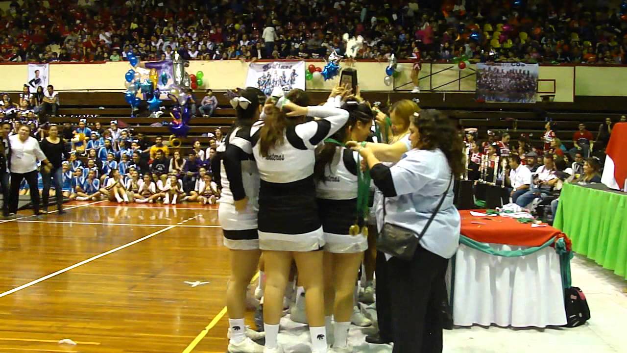 Mfl Festival Otoño 2014 Panteras Campeonas De Baile Del Grupo 4