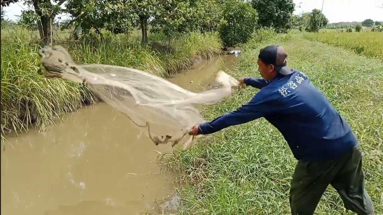 Catching fish using nets in deep rivers 😉😉 - YouTube