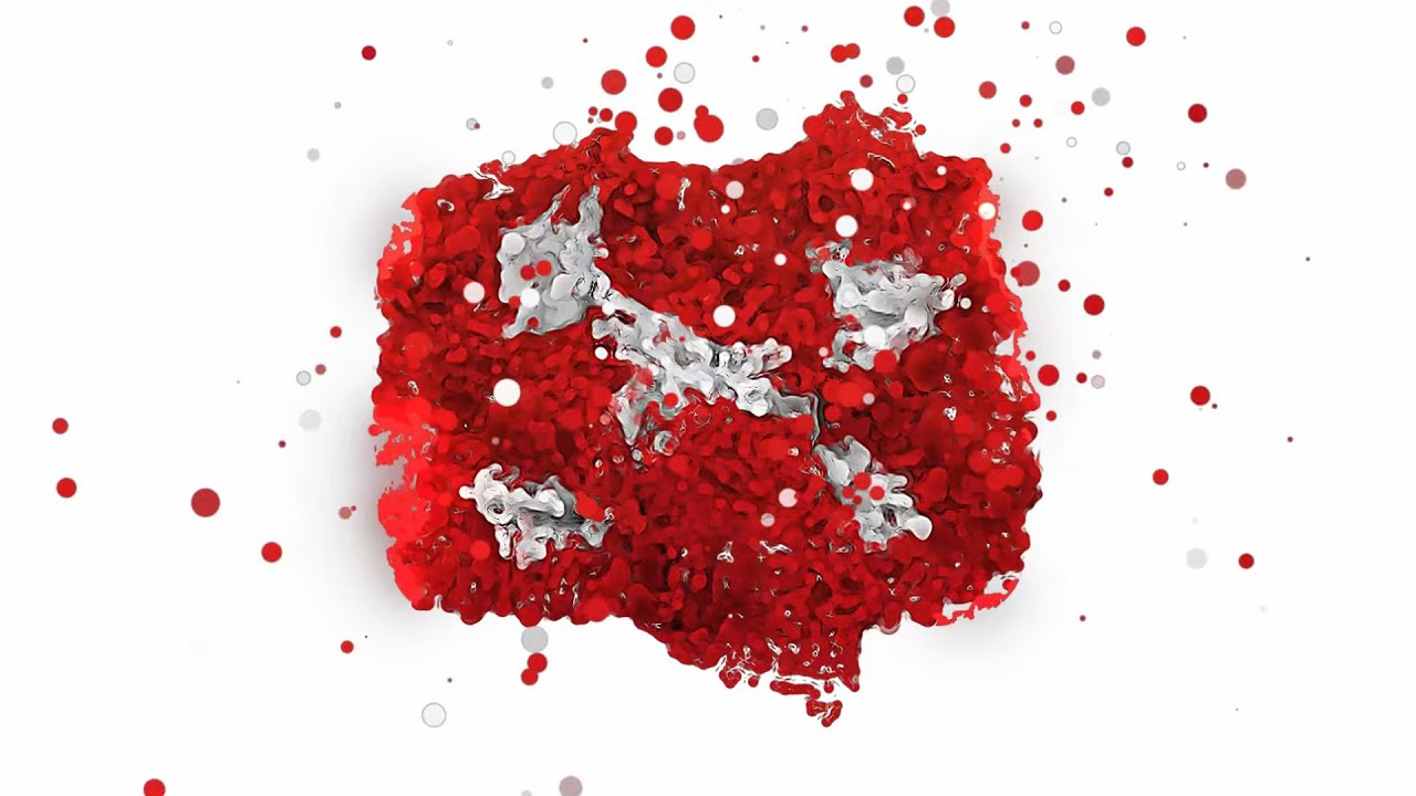 Particle Logo Reveal Intro Template #804 Vegas Pro Animation - YouTube