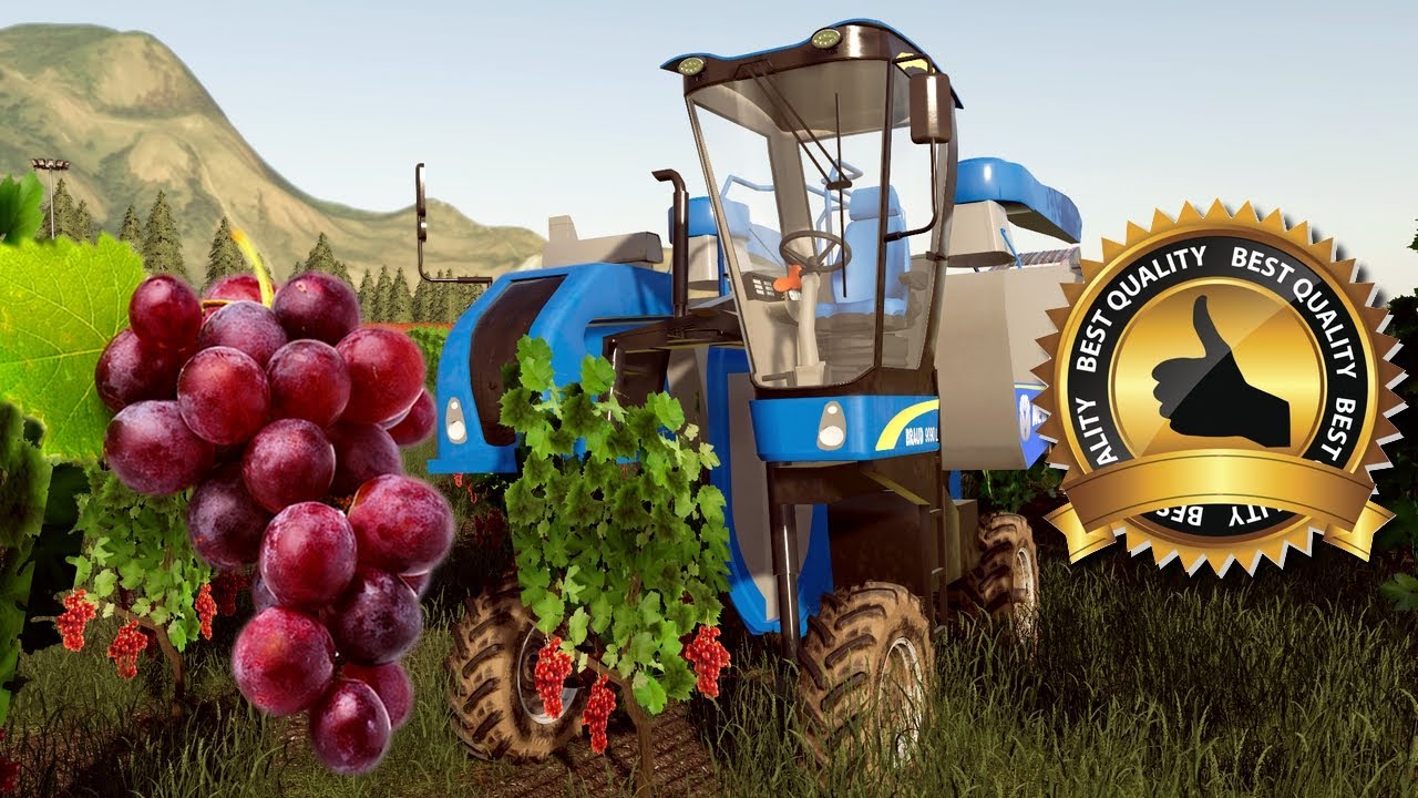 Farming Simulator 19 - #8 Modne 👔 Dodatki:🍇 Uprawa winogron 🍇 | FS19 👍 ...