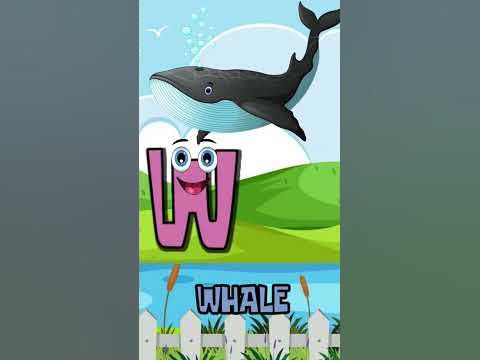 W for WHALE | Learn alphabets with live examples|phonics|Uppercase ...