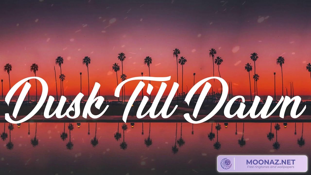 ZAYN - Like I'm Gonna Lose You, Meghan Trainor - Like I'm Gonna Lose ...