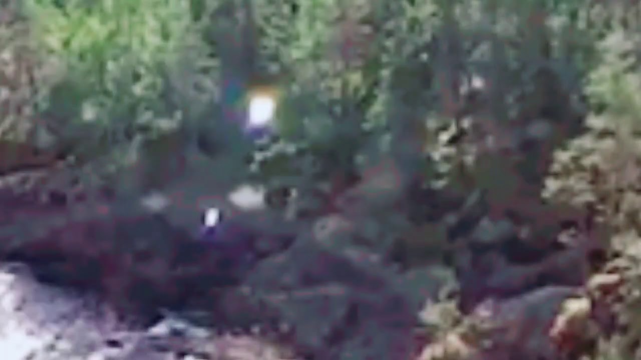 Bizarre happening compilation fro Web Cams..18+ - YouTube