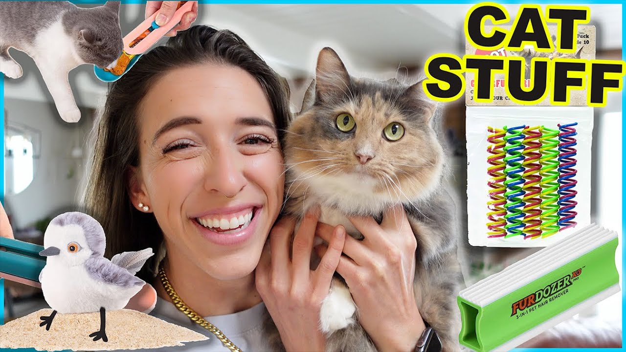 Testing Cat Products! - YouTube
