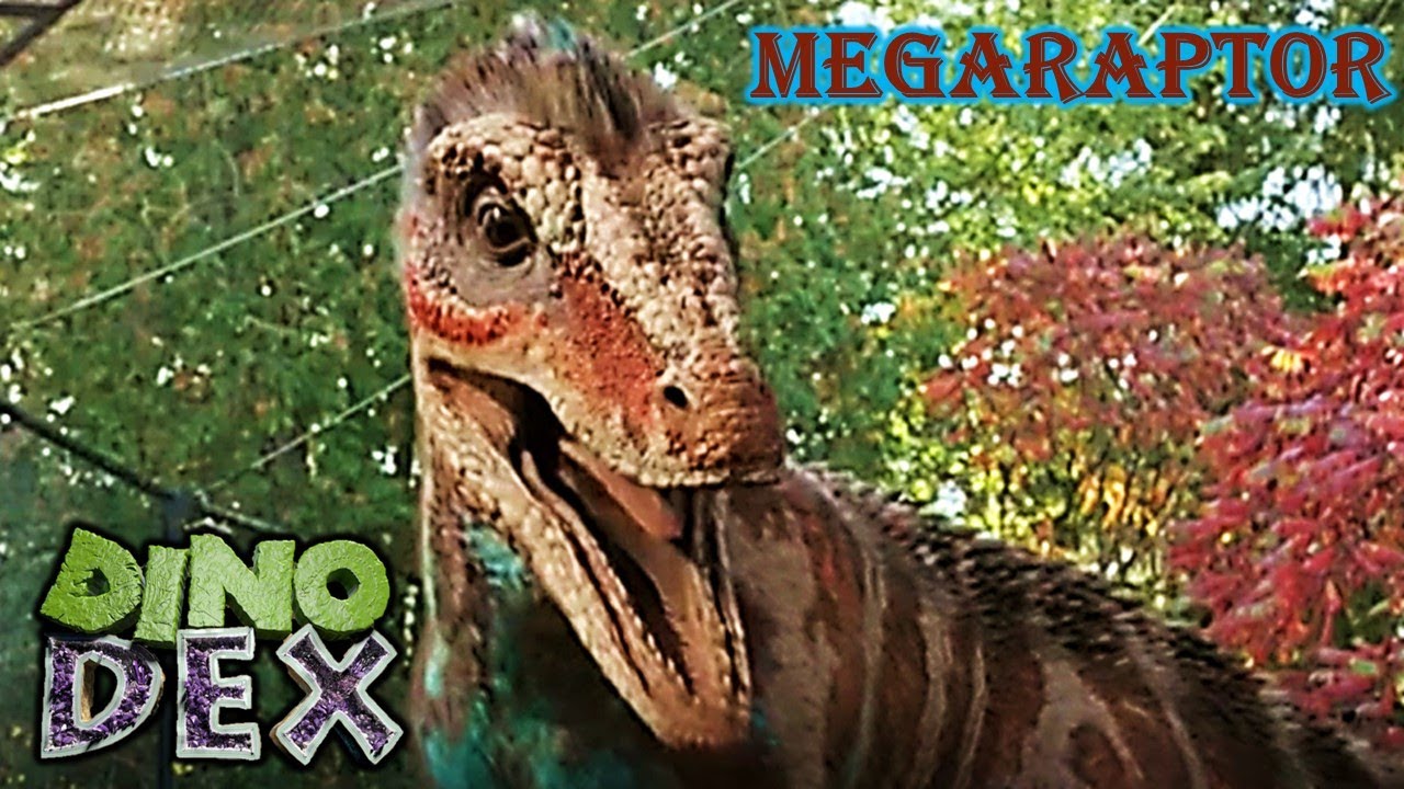 Dino dex megaraptor screen time - YouTube
