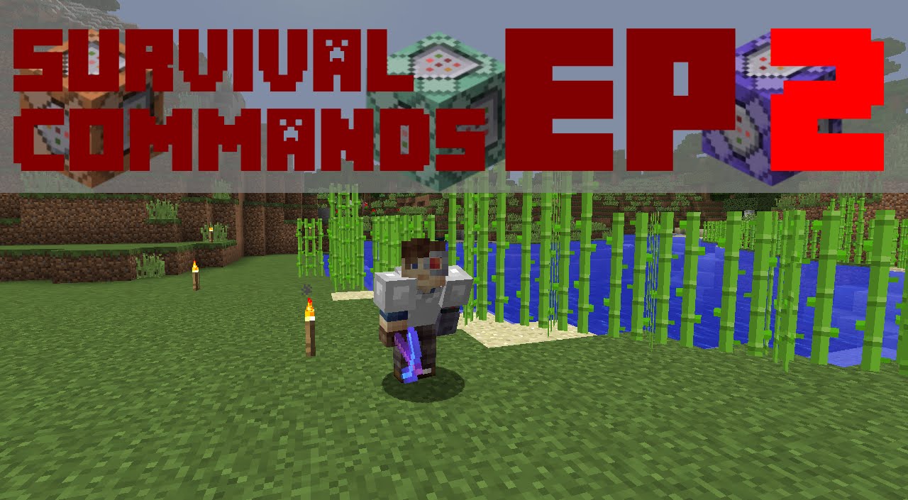 WASD Survival Commands [Ep 2] - YouTube