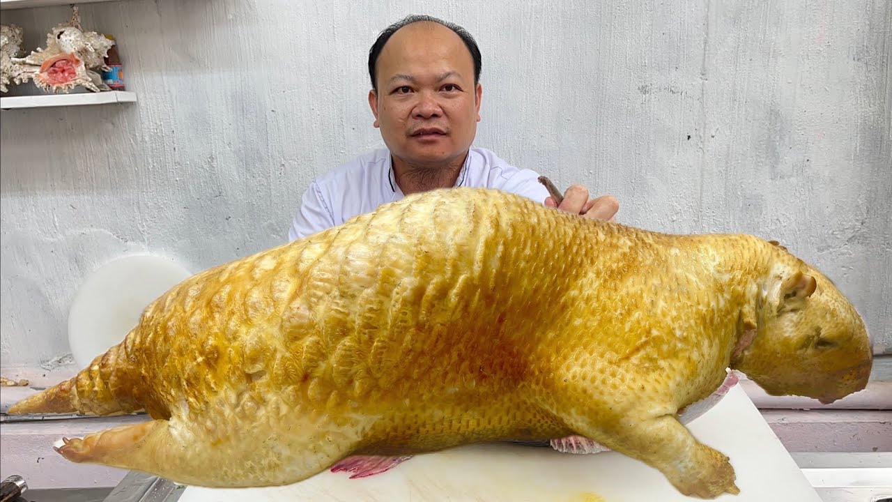 100 delicious dishes, porcupine meat, anaconda, buffalo meat, rabbit ...