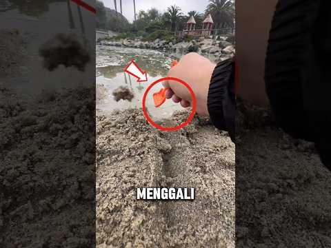 Sekop Kecil Ini Bisa Membuat Sungai Besar