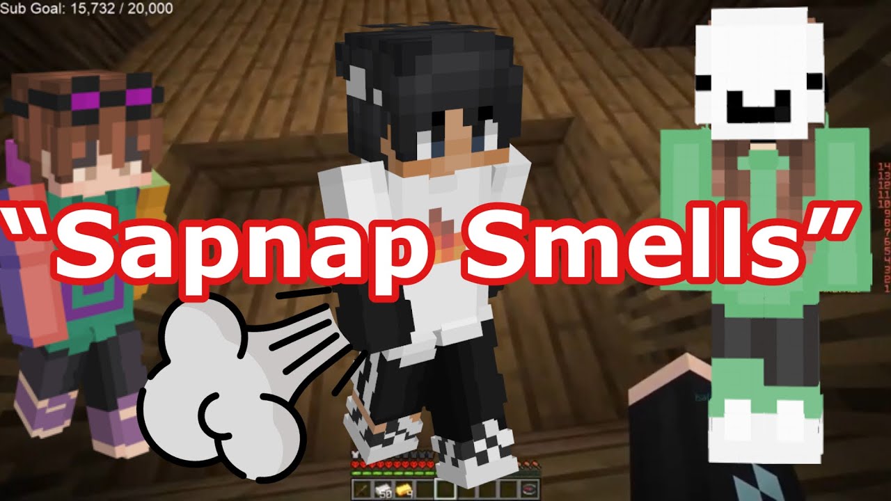 Drista says Sapnap SMELLS IRL... (Dream's Sister) - YouTube