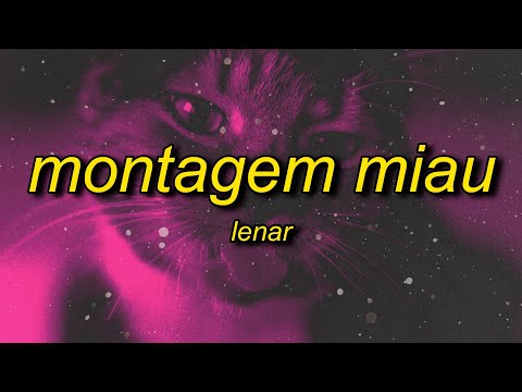 Montagem Miau