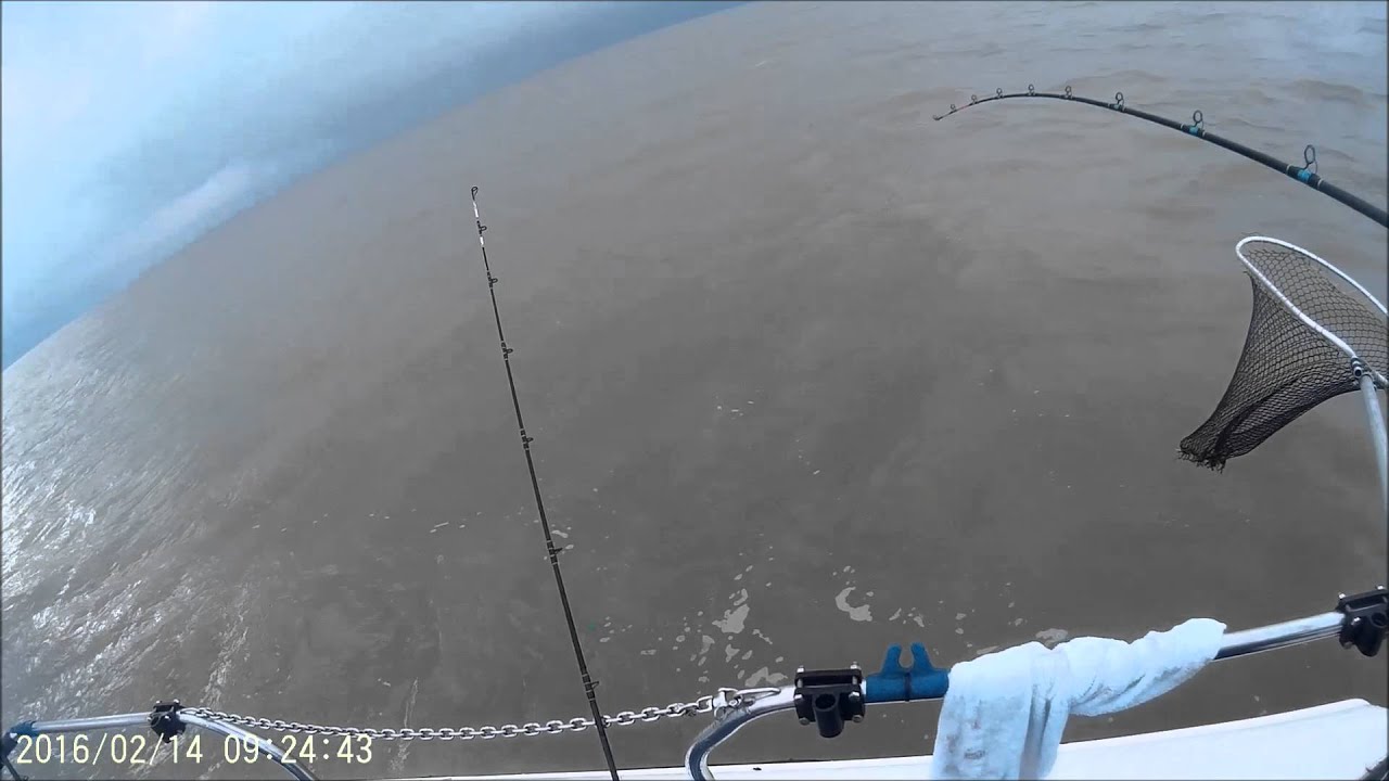 essex sea fishing thorn-back ray - YouTube