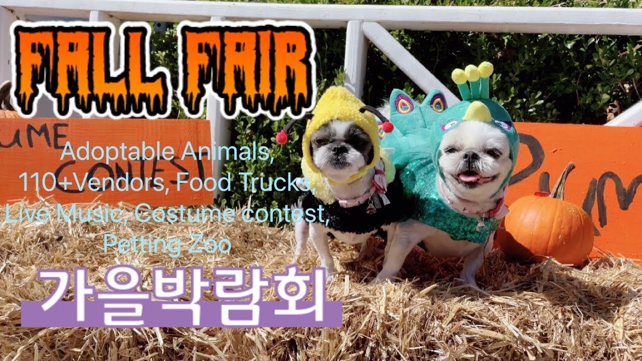 2021 Fall Fair presented by the Humane Society for Greater Savannah ...