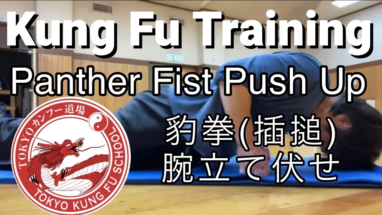 Kung Fu pushup on second knuckles. Panther (leopard) fist pushup 豹拳(插搥 ...