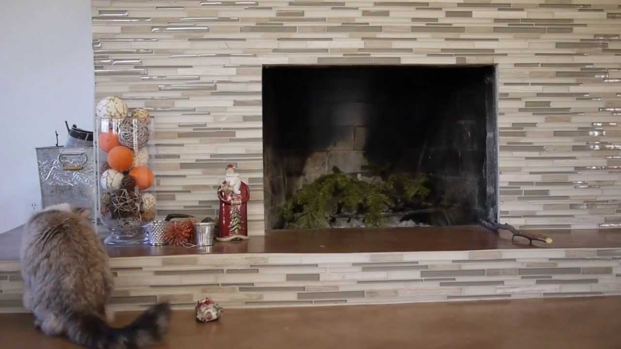 Sachi the cat opens catnip present - YouTube