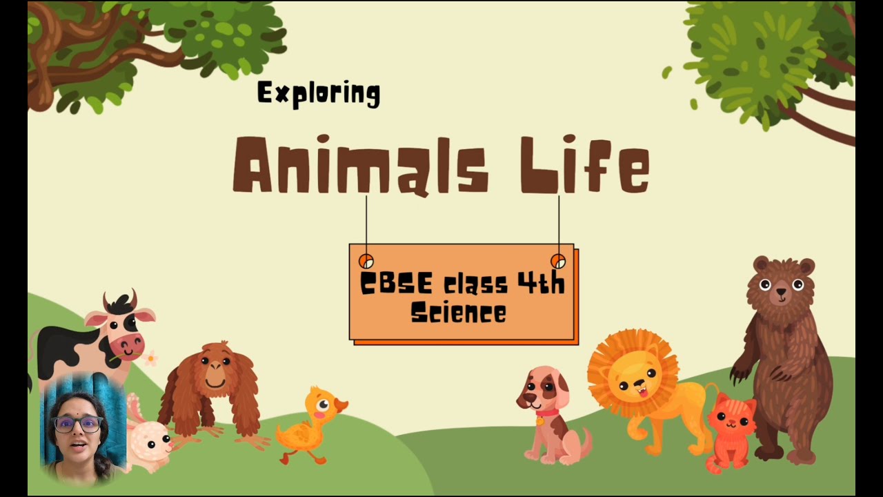 Exploring Animal Life | Class 4 Science | Chapter - 2 #science - YouTube