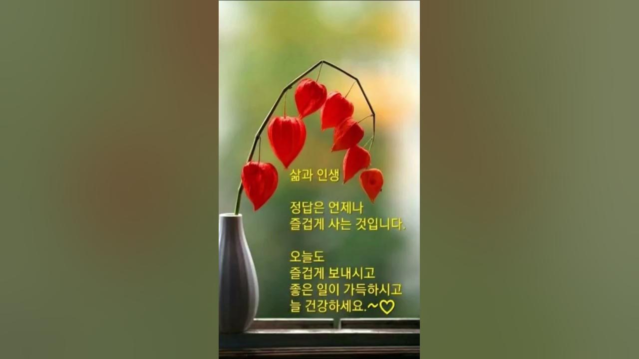 좋은아침 즐겁고 행복한 일요일 보내세요 건강하세요 화이팅 Youtube