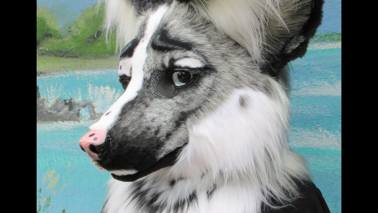 Marbled Silver Maned Wolf - YouTube