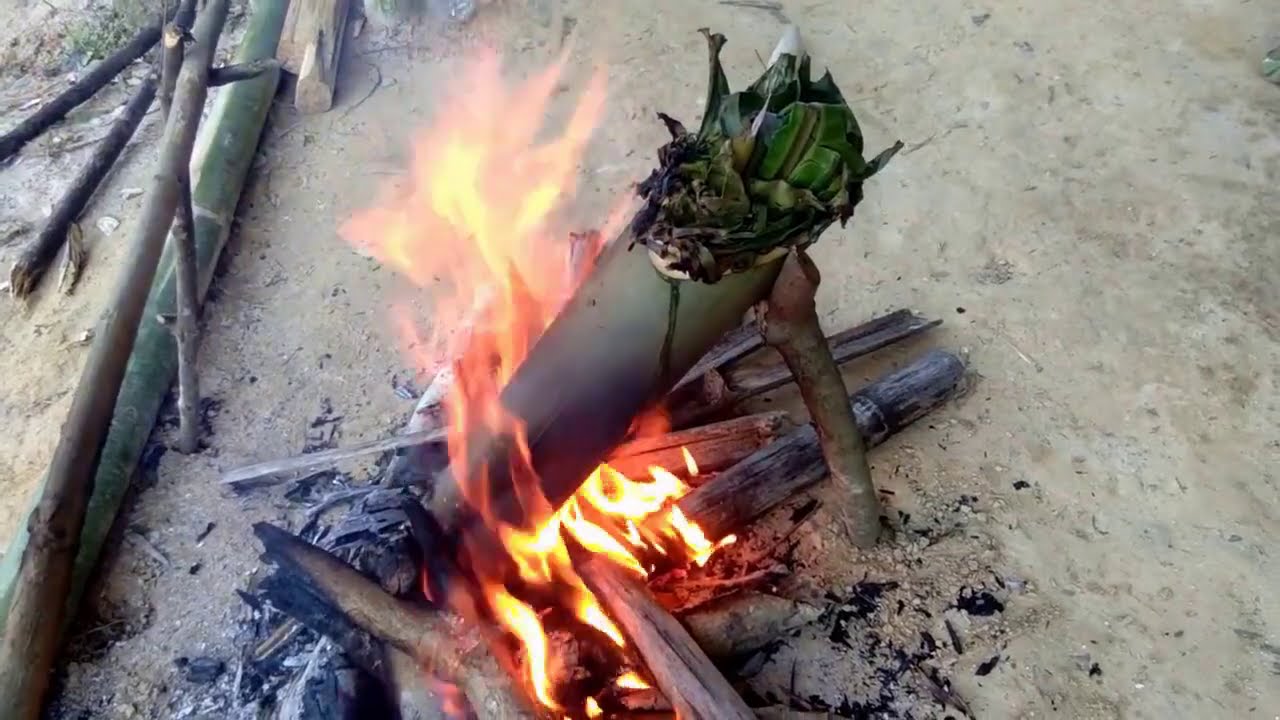 Traditional Way Of Cooking Fish In Bamboo | Naga Traditional Food - YouTube
