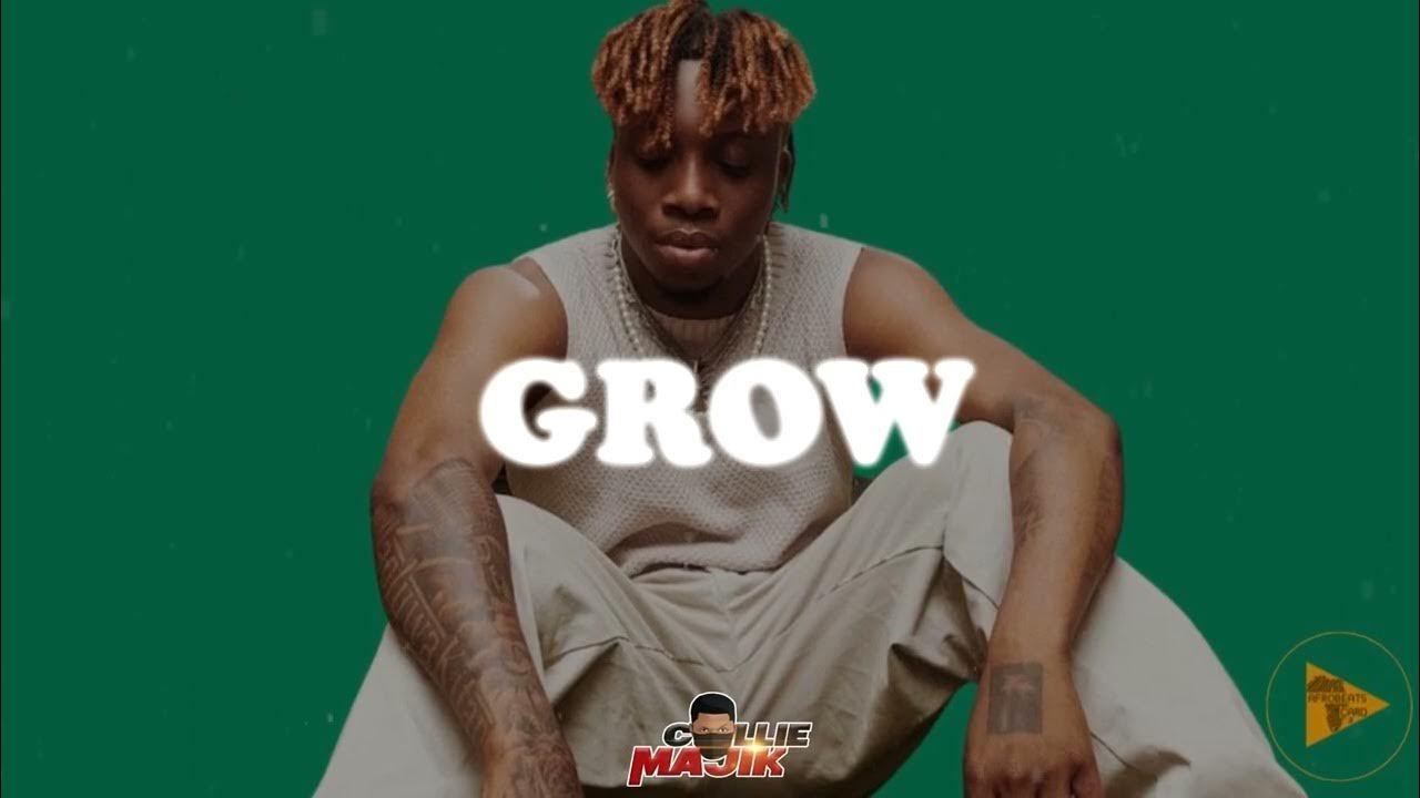 Afrobeat Instrumental 2023 Burna Boy X Omah Lay X Tems Type Beat "GROW" | Afrobeat Type Beat ...