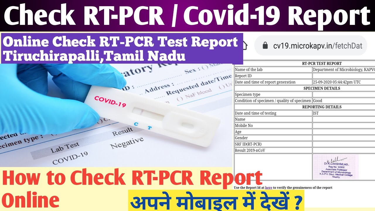 How to Check RT PCR Report Online | Tiruchirapalli,Tamil Nadu Check ...