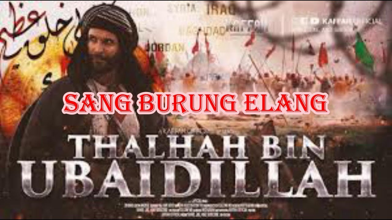 kamu harus tahu | kisah Tolhah Bin Ubaidillah Sang burung Elang - YouTube