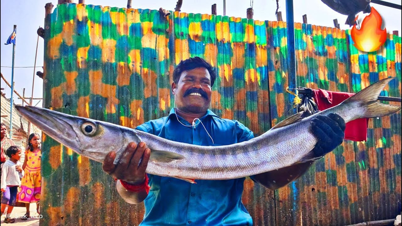 10KG HUGE BARRACUDA(SHEELA) FISH CUTTING💥| KASIMEDU DURAI FISH CUTTING ...
