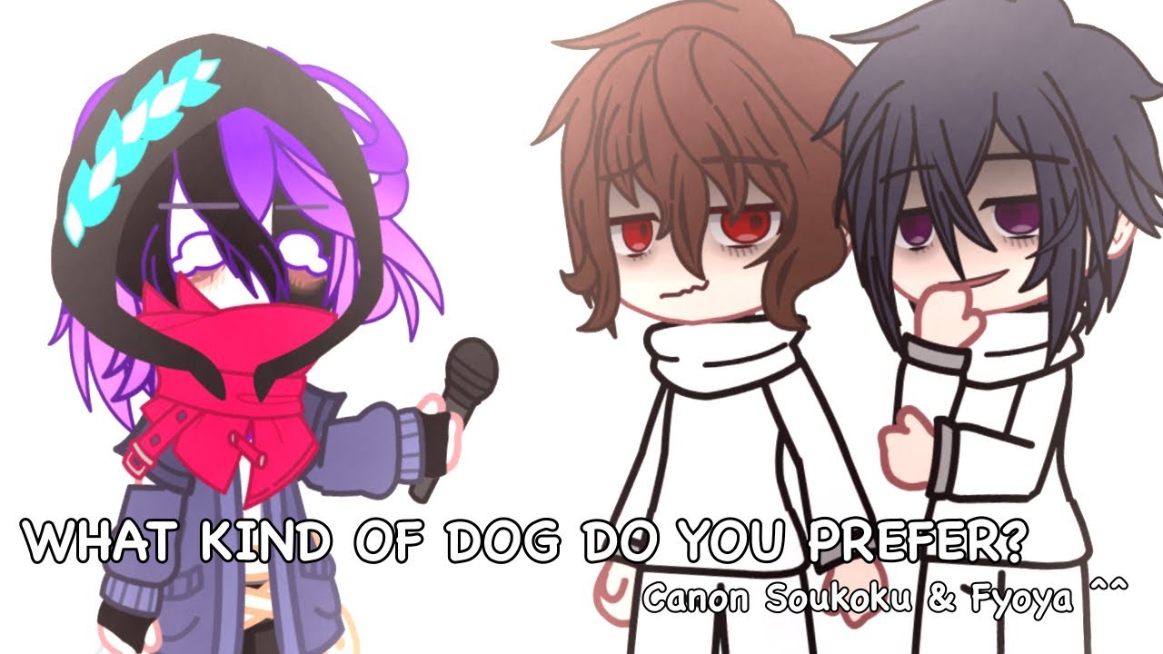 |[BSD] ‘What kind of dog do you prefer?’ // Soukoku & Fyoya (+Teako ...