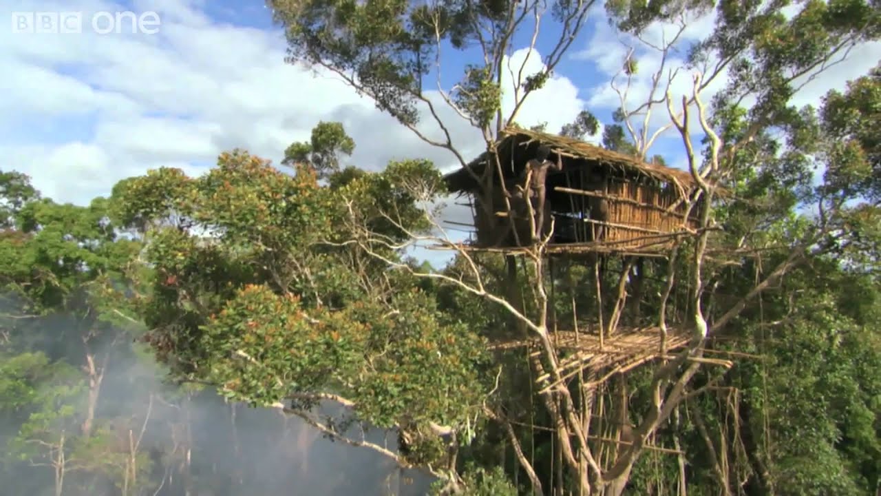 Human Planet - Web exclusive series trailer - BBC One3.mp4 - YouTube