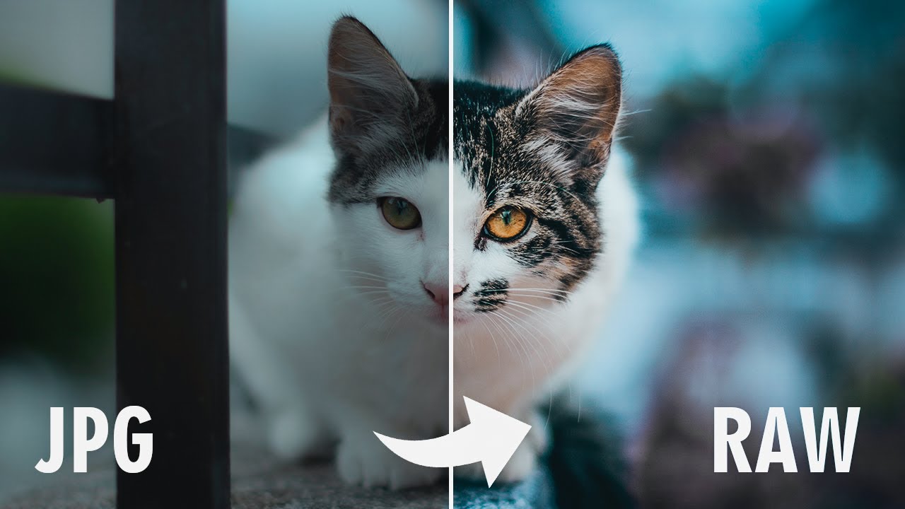¿Qué es formato RAW y JPG? Todo lo que necesitas saber. - YouTube