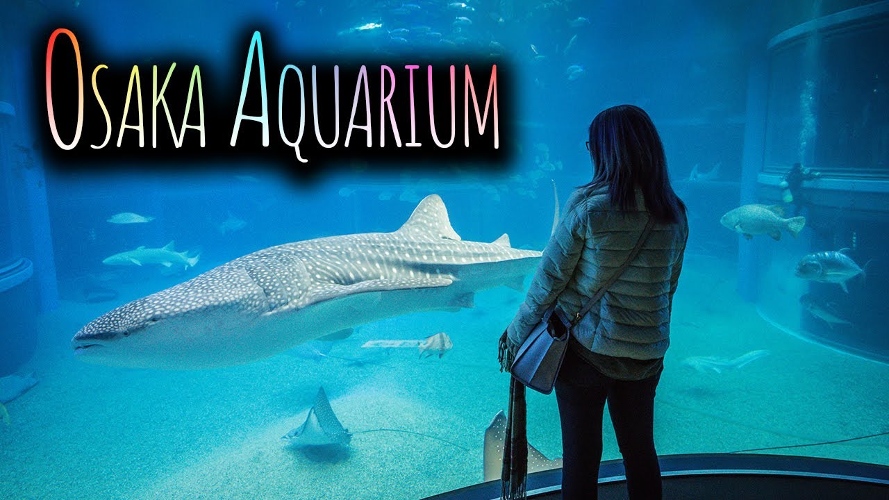Osaka Aquarium Kaiyukan & Whale Sharks! Umeda Sky Building - Japan 2017 ...