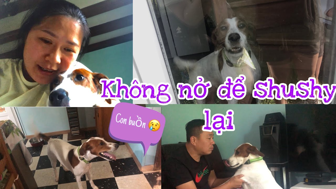 Dung đem gửi Shushy . Chia tay em trong lưu luyến .@HoangDung FR|Cuộc ...