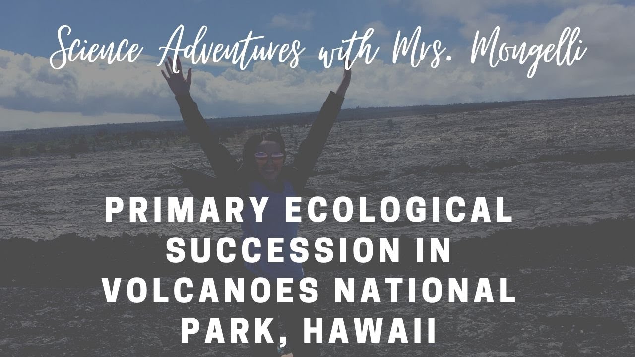 Primary ecological succession in Volcanoes National Park, Hawaii - YouTube