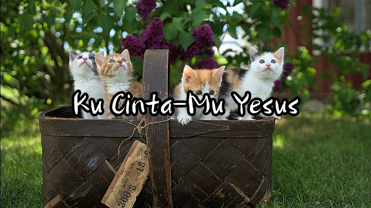 KKK601 Ku Cinta Mu Yesus | Kidung Kanak-Kanak - YouTube