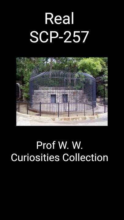 SCP-257 | Professor William Woodsworth’s Collection of Curiosities (SCP Library) - YouTube