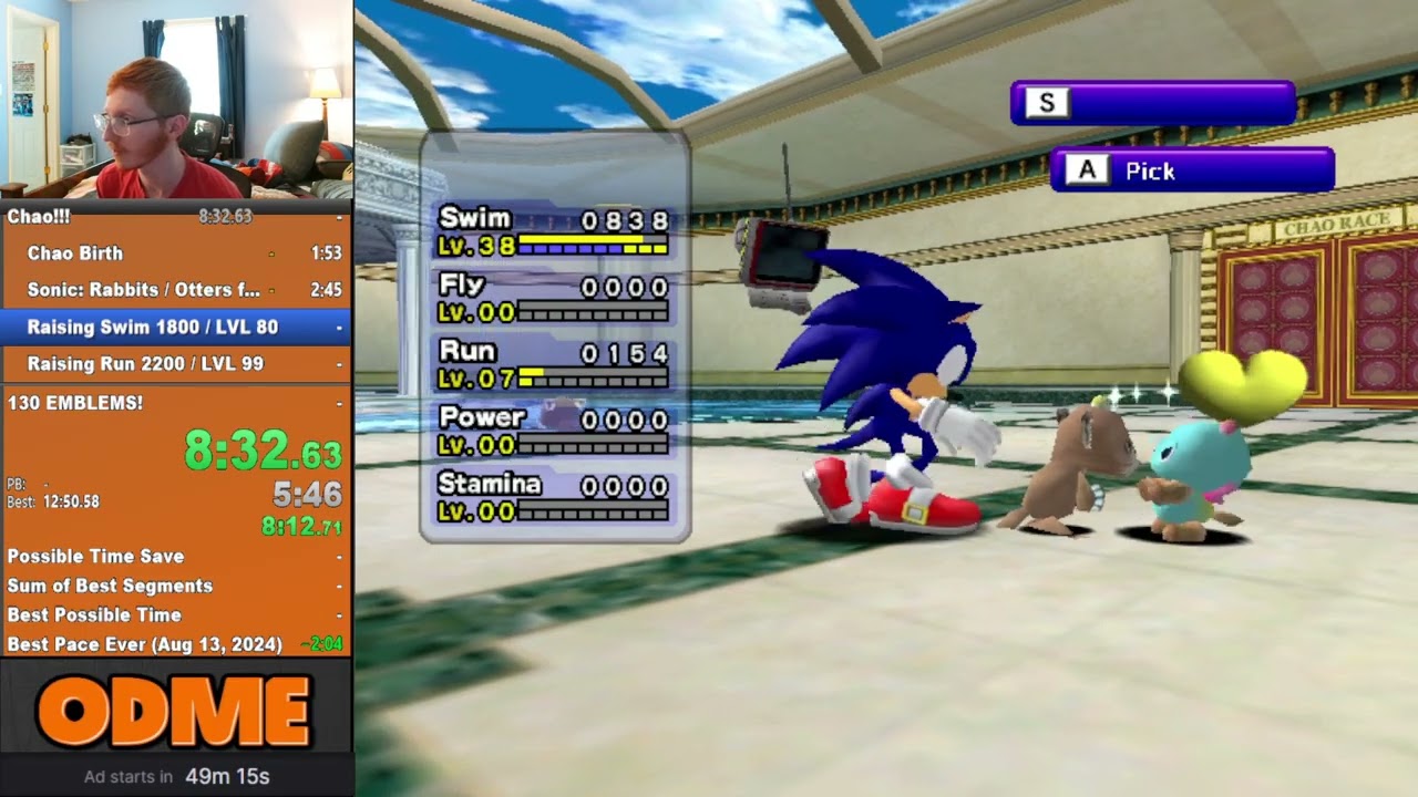 Sonic Adventure Dx 130 Emblems