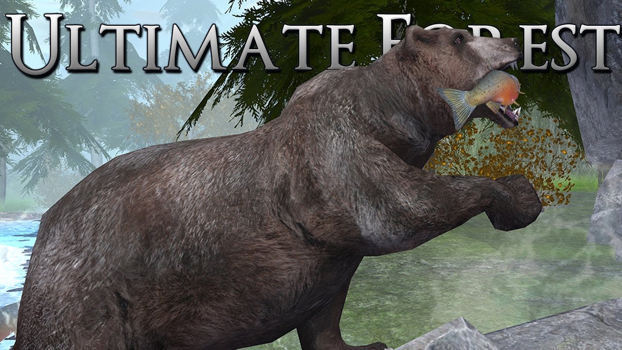 Feeding a Hungry Mother Bear!! • Ultimate Forest Simulator - YouTube