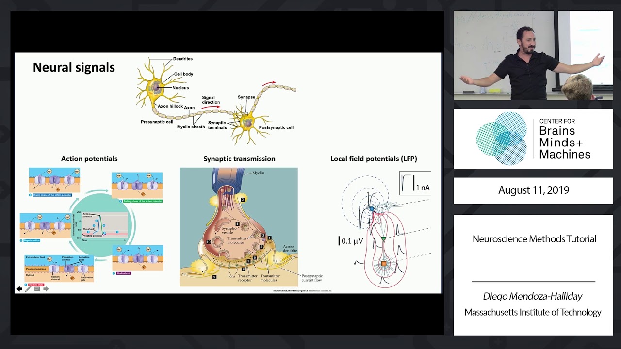 Neuroscience Methods Tutorial - YouTube