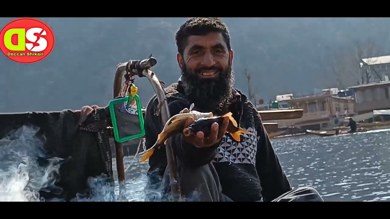 Big size kashmiri fish catching videos by fisherman|Kashmir fishing by ...